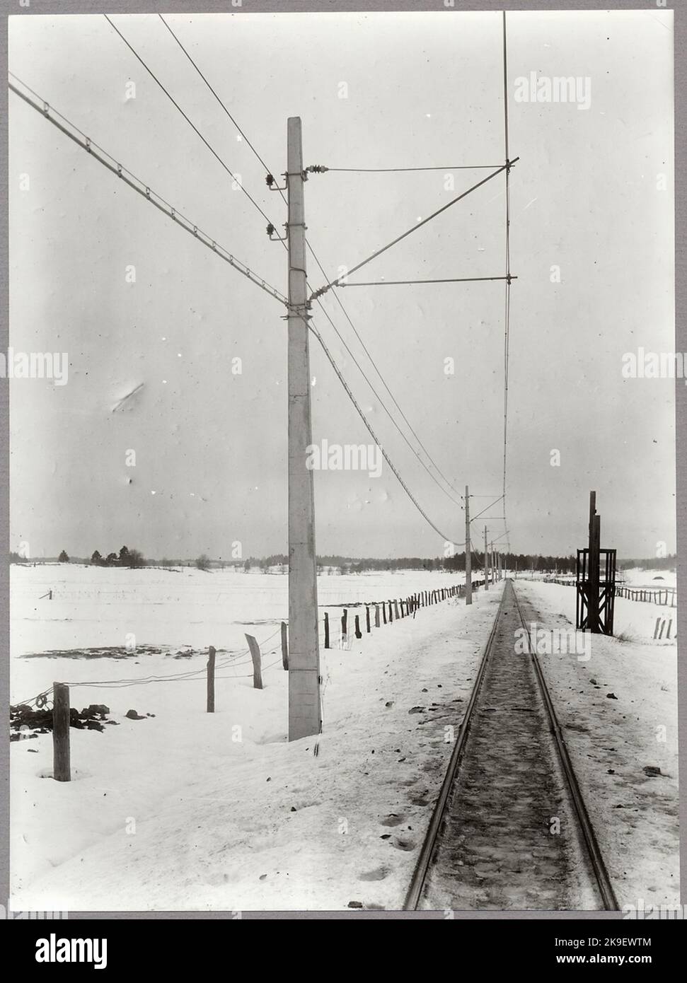 Concrete poles for the power line on the line Stock Photo - Alamy