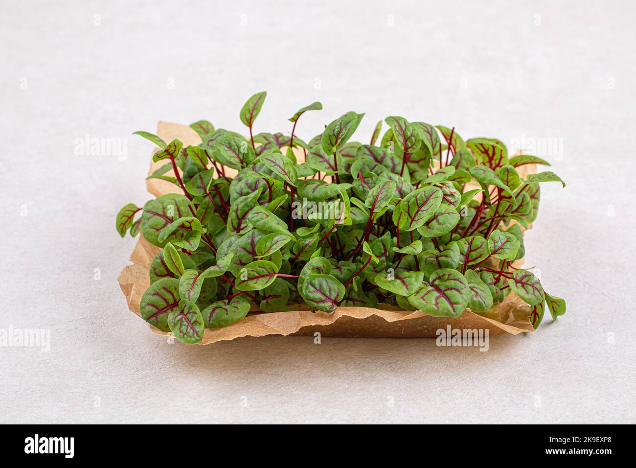 Microgreen hi-res stock photography and images - Alamy