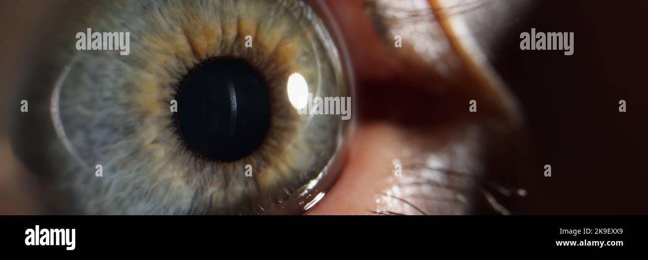 Green females eye, detailed picture of human being vision, macro shot ...