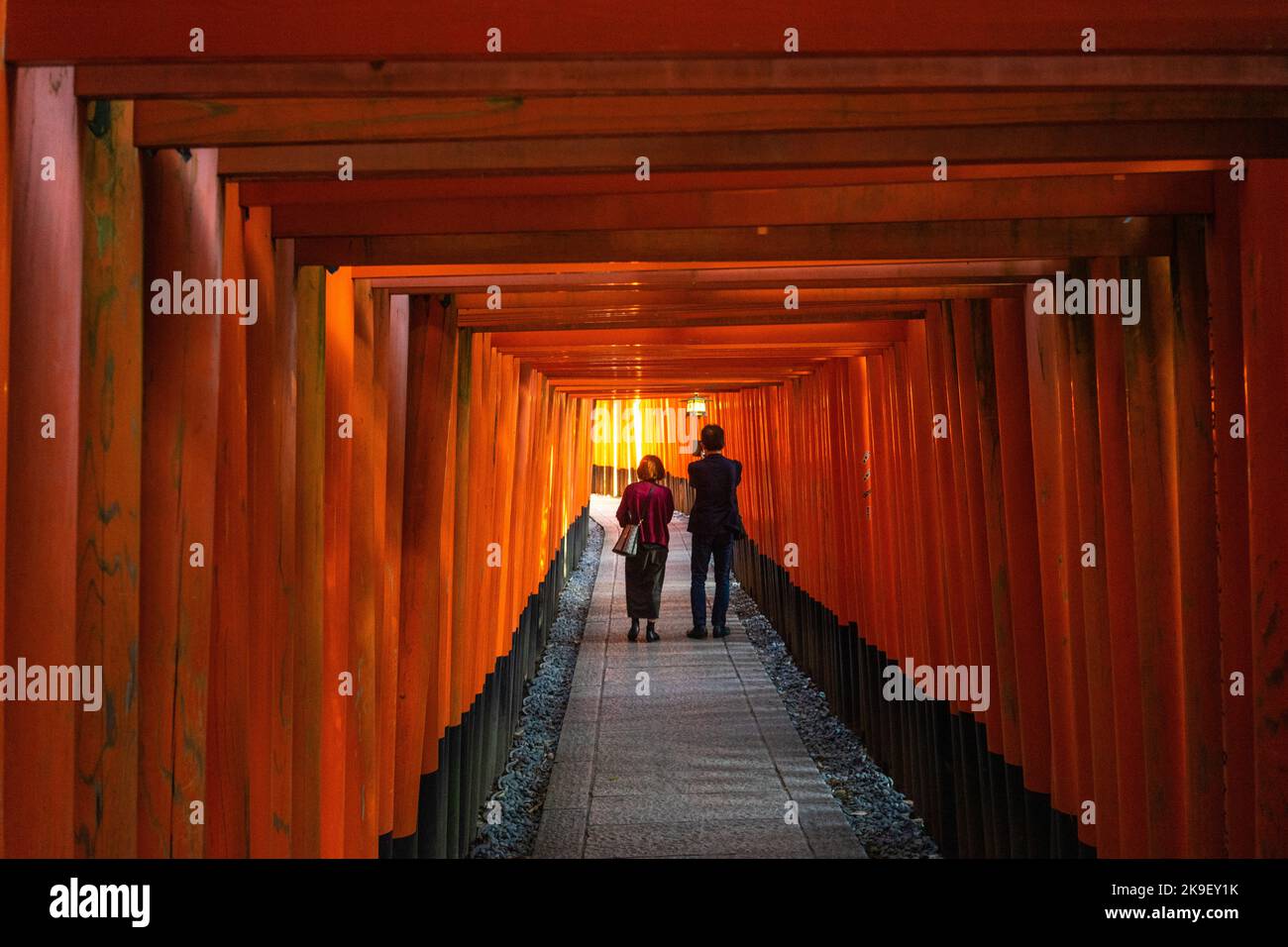 Fushimi Inari in Kyoto at Sunset Stock Photo - Alamy