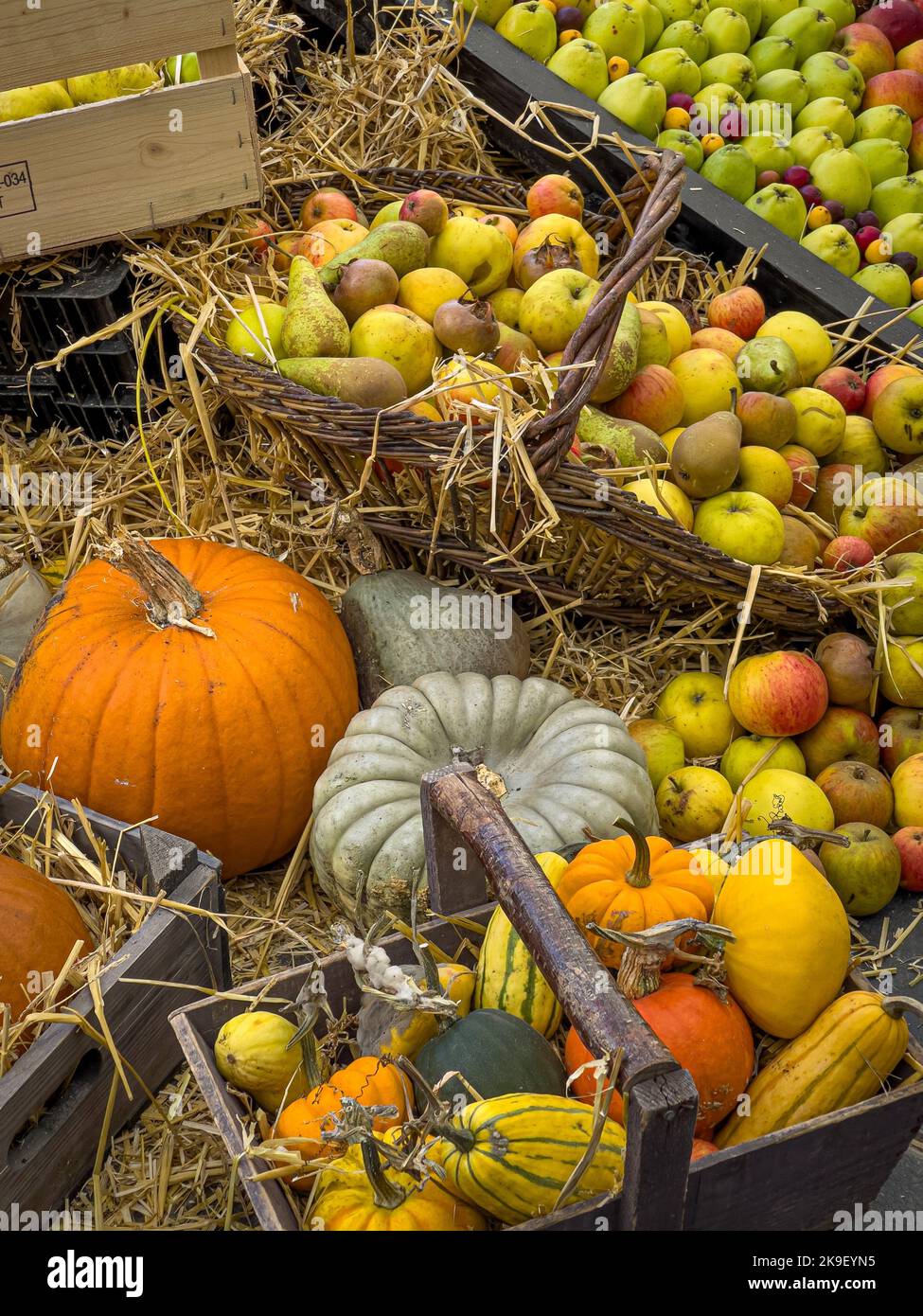 Yellow apples crate box wooden hi-res stock photography and images - Alamy