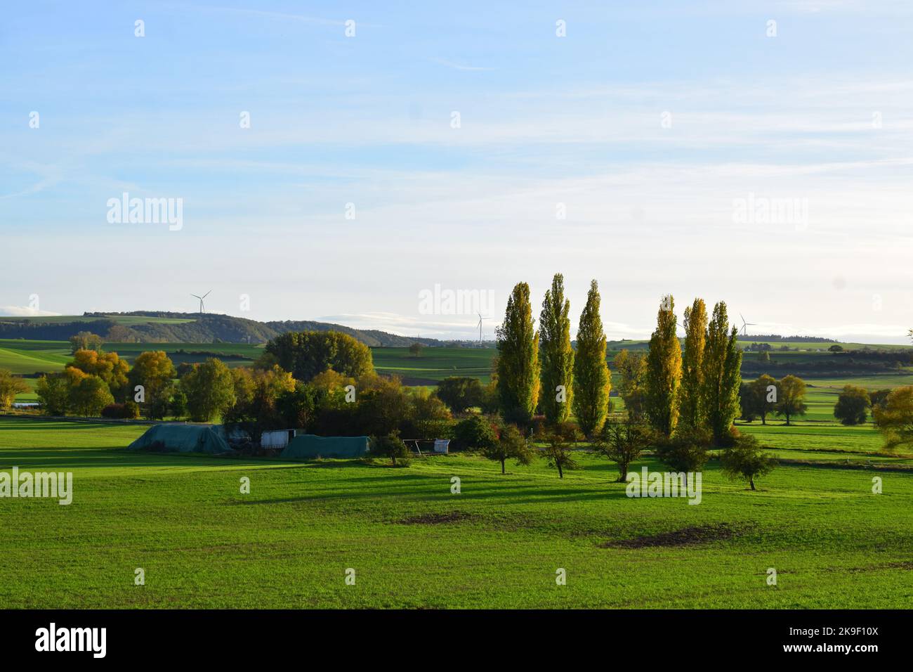 autumn in the Thürer Wiesen Stock Photo - Alamy