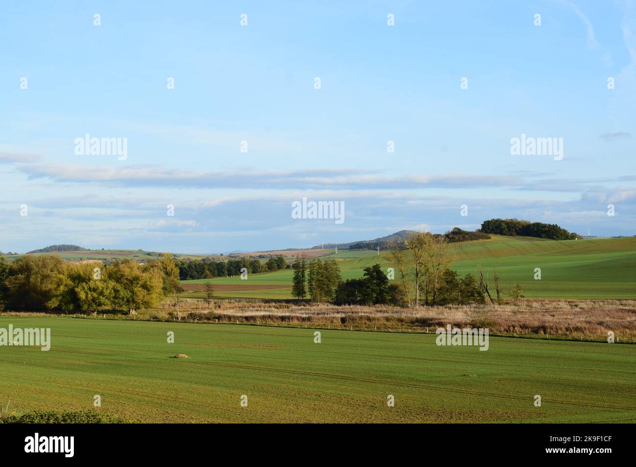 autumn in the Thürer Wiesen Stock Photo - Alamy