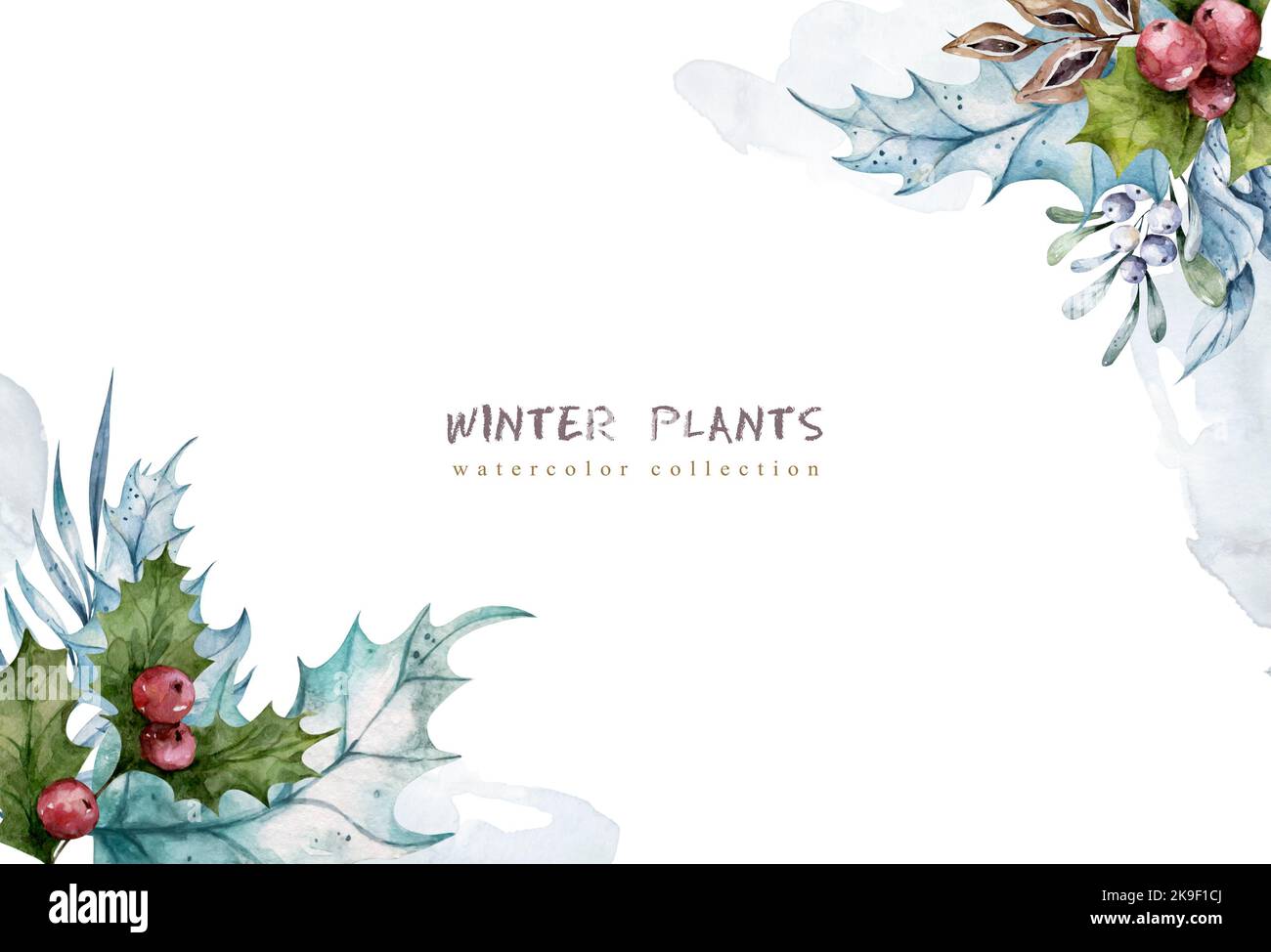 Winter Watercolor Flowers Watercolor Drawing, Set Of Christmas