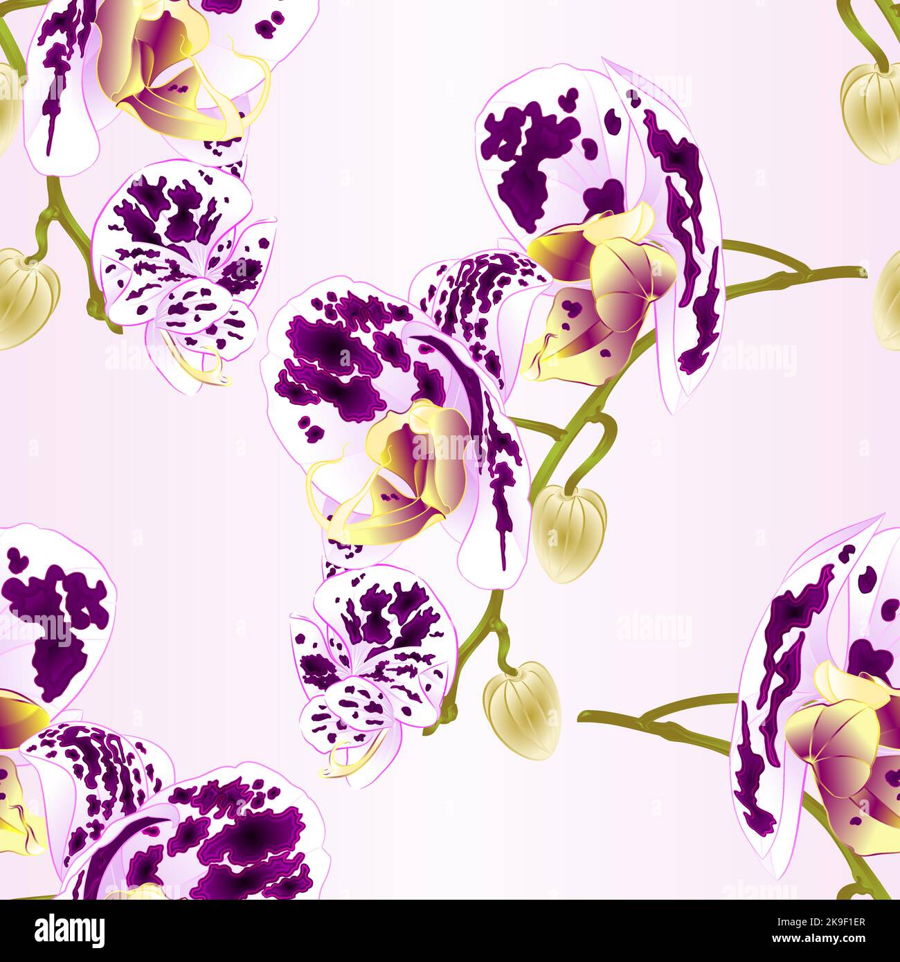 Seamless Texture Beautiful Orchid Spotted White And Purple Stem With