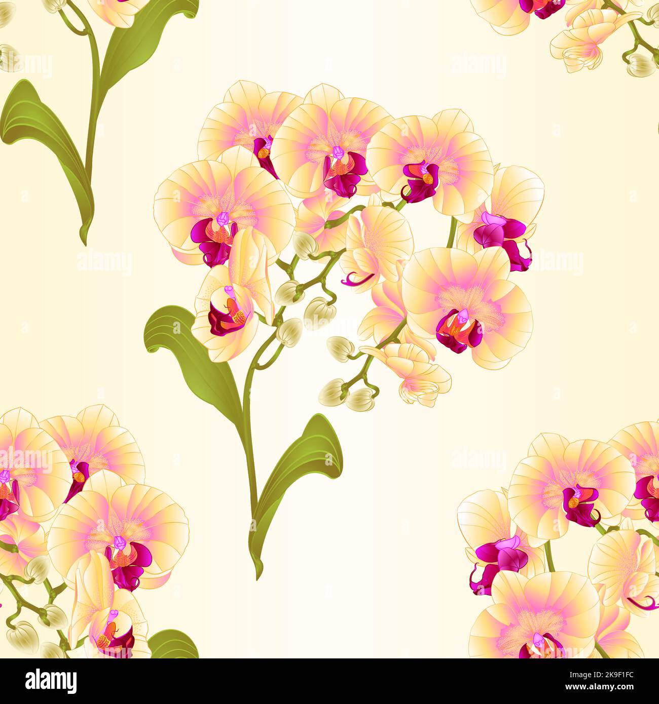 Seamless Texture Branches Orchid Phalaenopsis Yellow Flowers Tropical