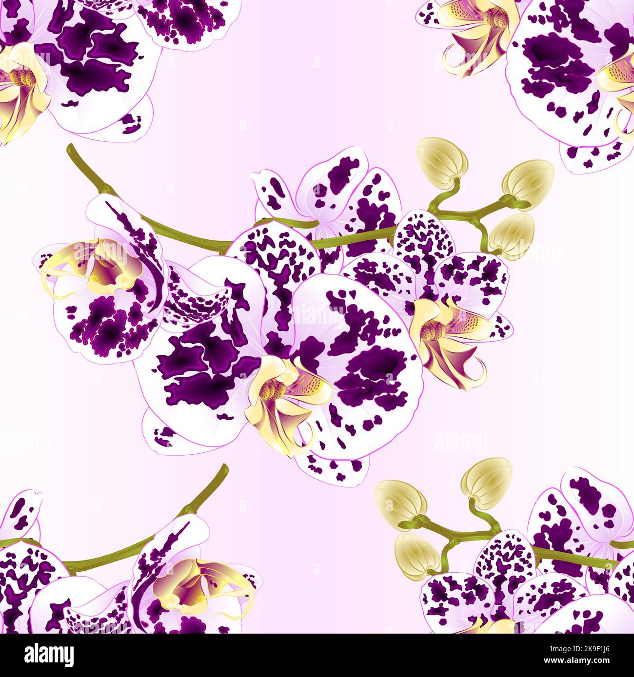 Seamless Texture Branch Orchids Flowers Spotted Purple And White