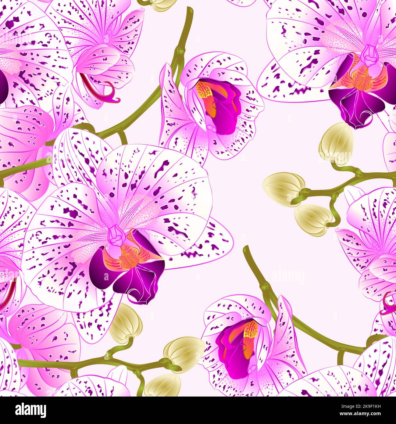 Seamless Texture Branch Orchids Flowers Purple And White Phalaenopsis