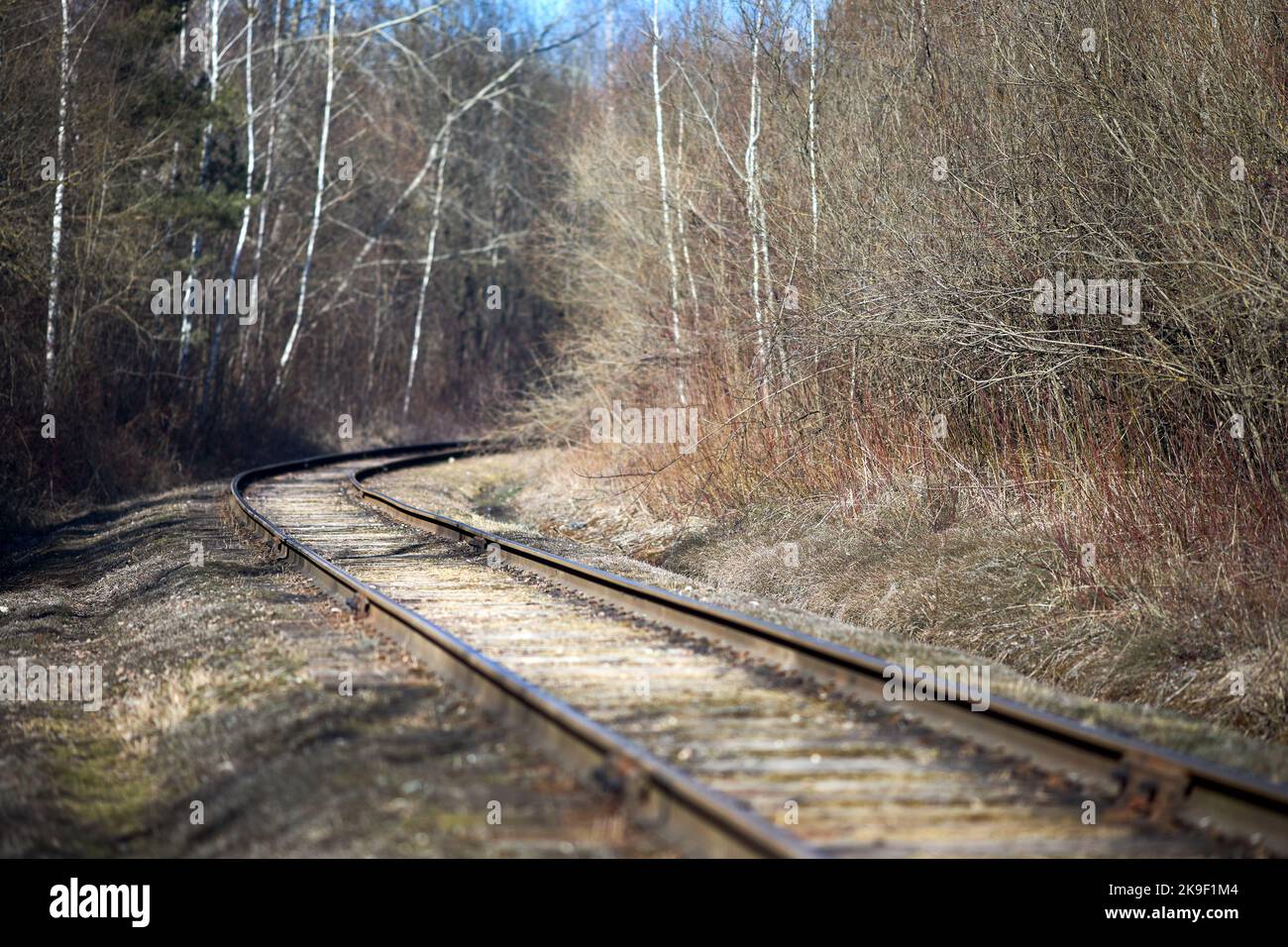 Railway track selective focus in the spring forest with blue sky with ...
