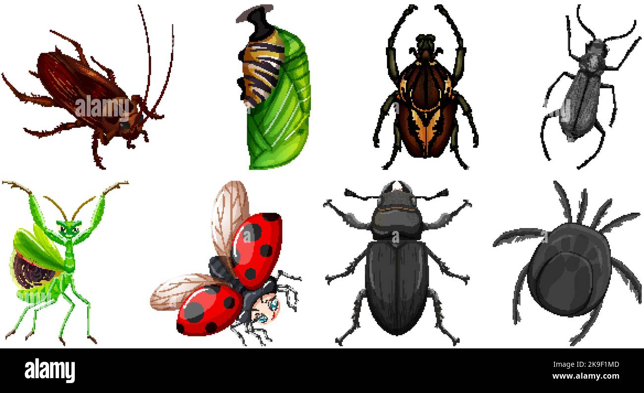 Set of different kinds of insects illustration Stock Vector Image & Art ...