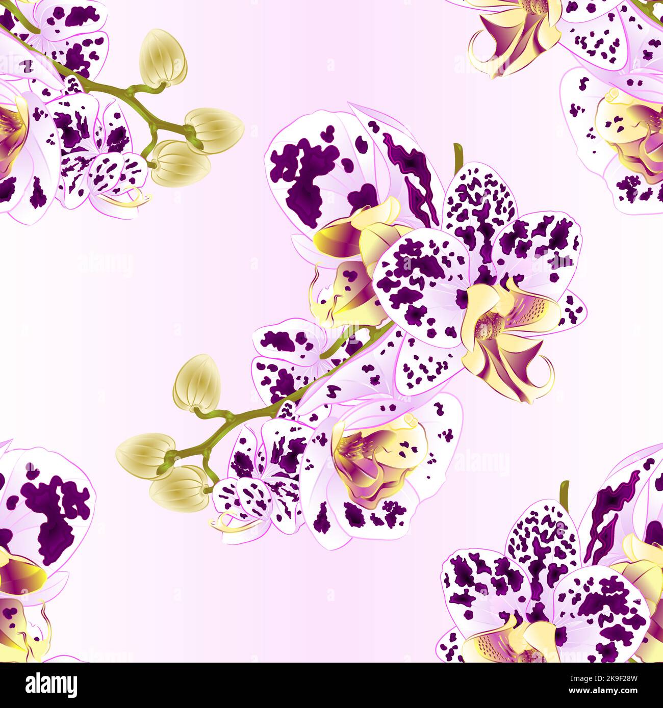 Seamless Texture Stem With Flowers And Buds Beautiful Orchid