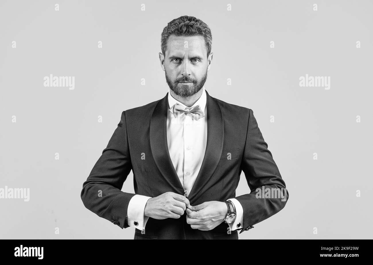 mature professional businessman. handsome guy on grey background ...