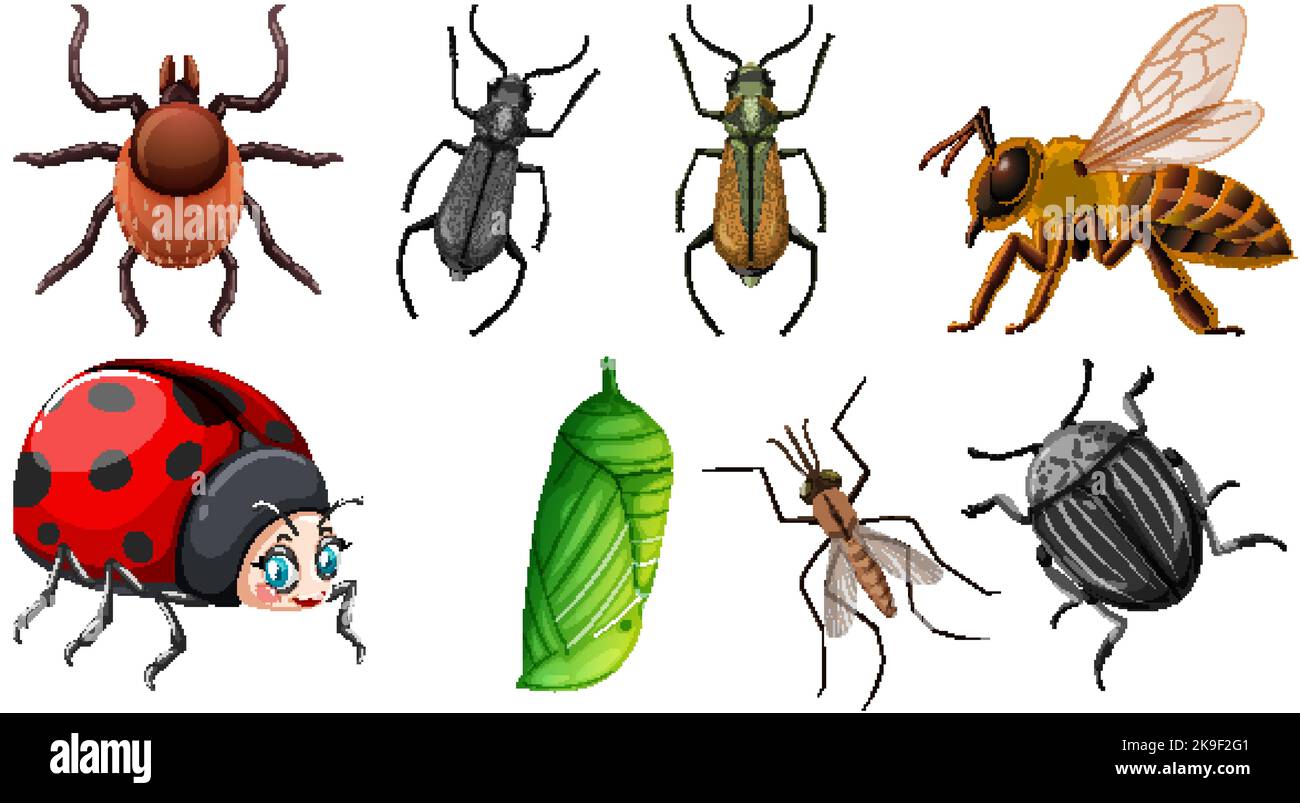 Set of different kinds of insects illustration Stock Vector Image & Art ...