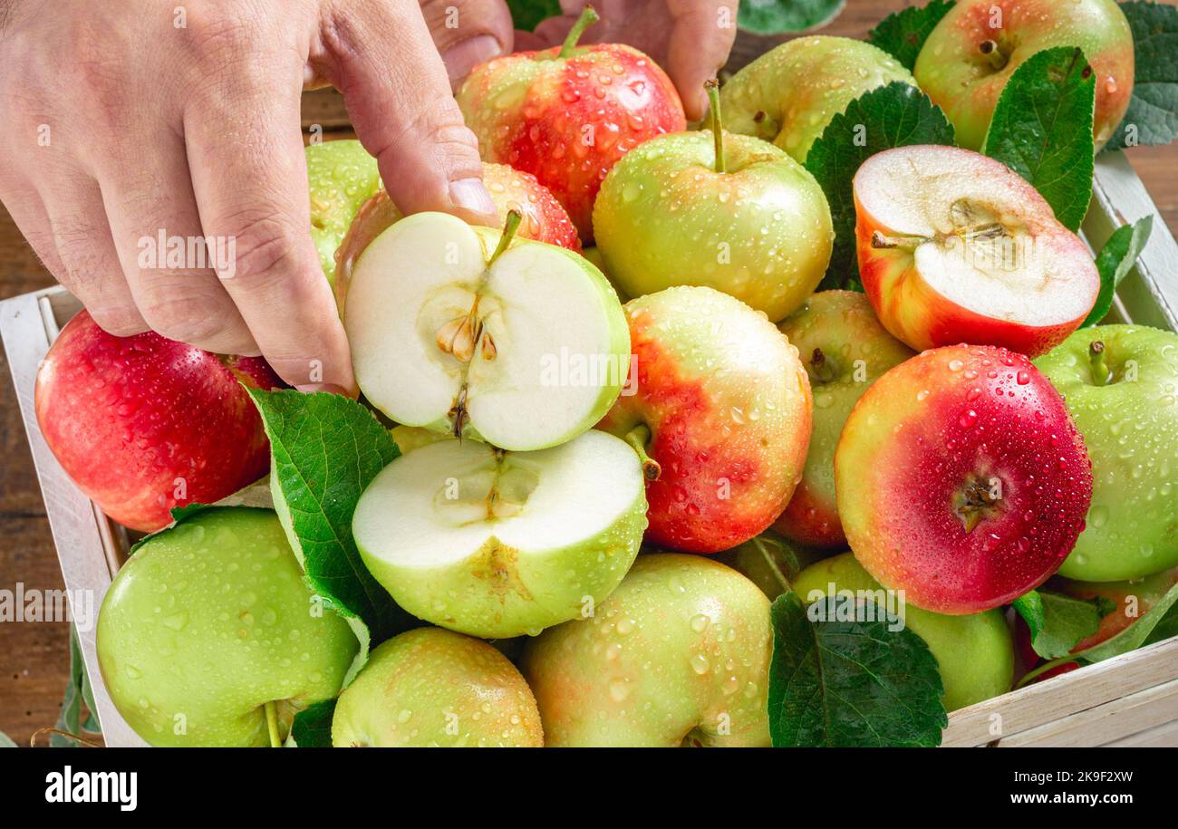 Wooden box with full of different red and green apples Stock Photo - Alamy