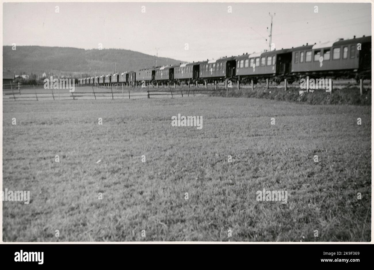 Hospital train for transporting wounded German soldiers, here on the ...
