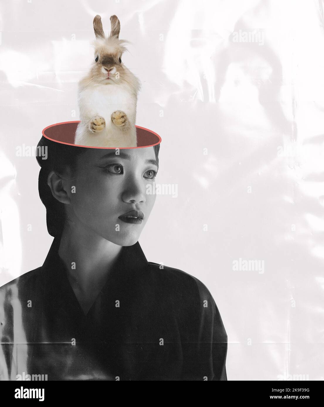 Contemporary art collage. Creative design. Portrait of beautiful young ...