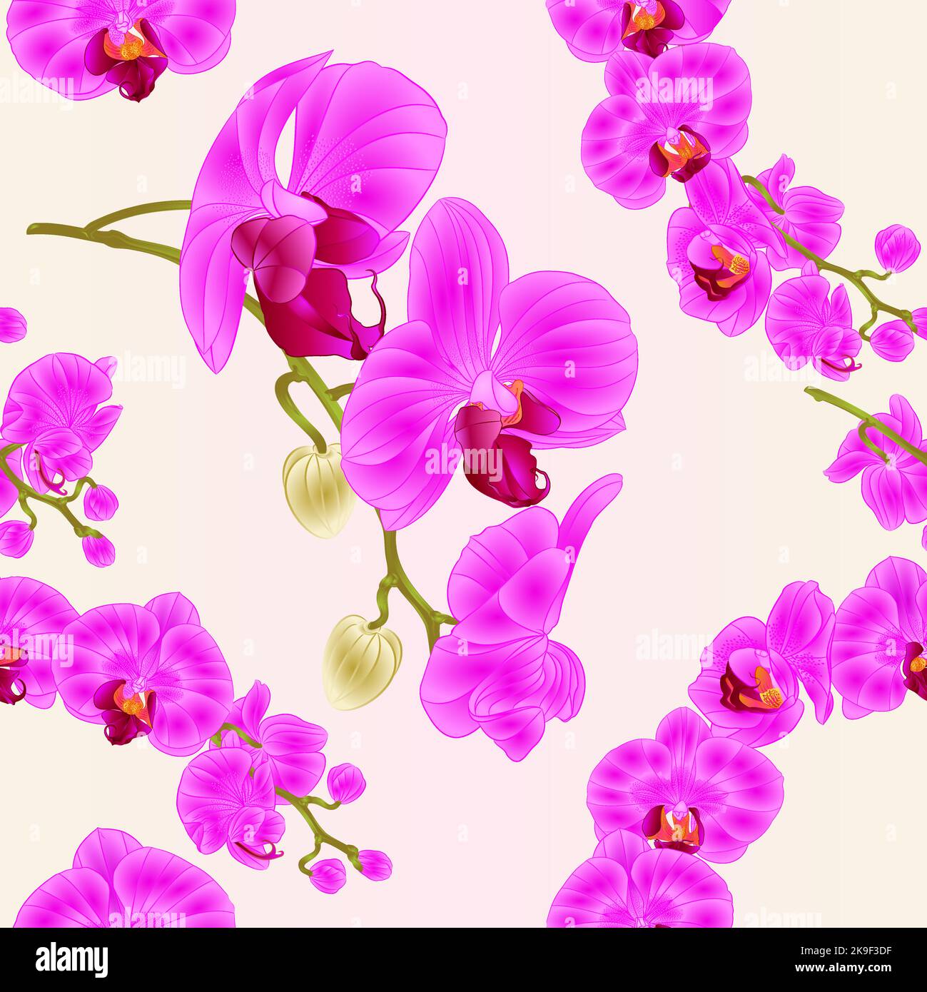 Seamless texture orchids Phalaenopsis purple flowers tropical plants ...