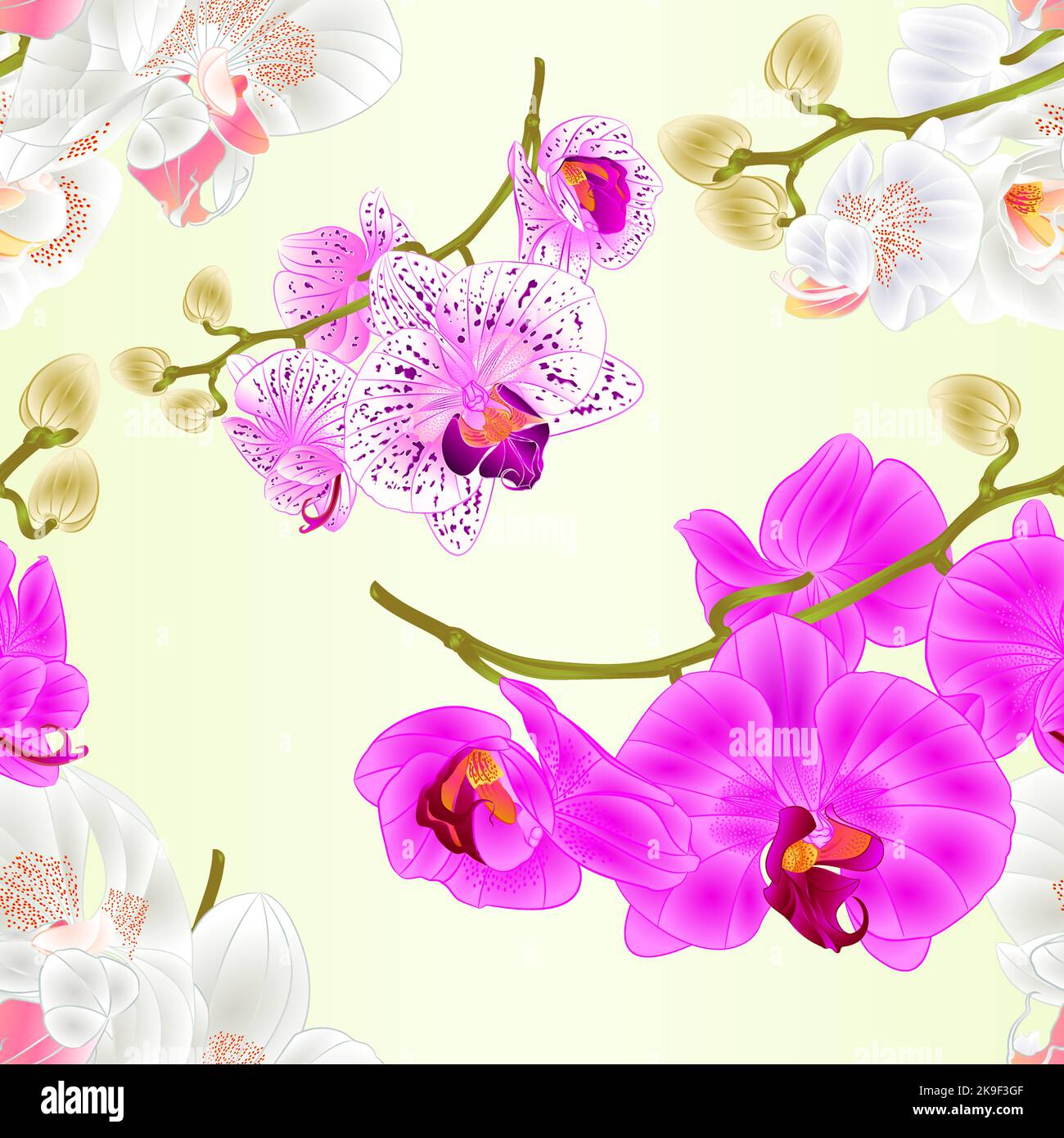 Seamless Texture Branches Varius Orchids Flowers Purple White