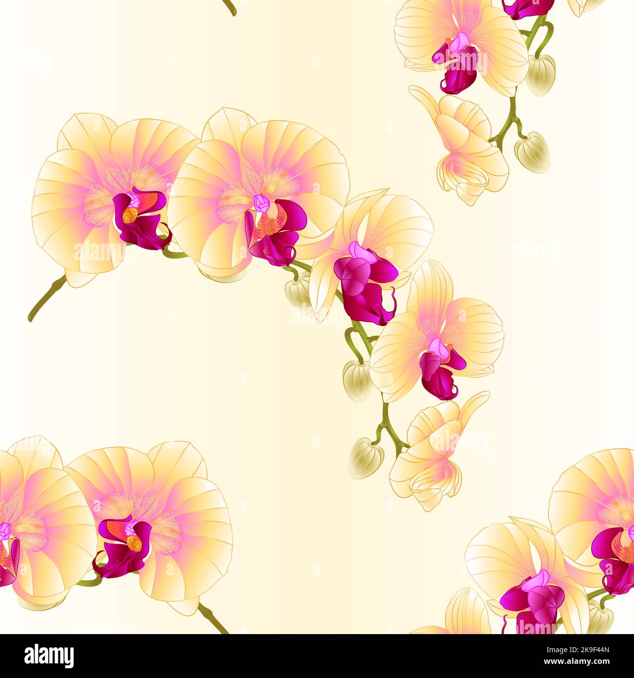 Seamless Texture Beautiful Phalaenopsis Orchid Yellow Stem With Flowers