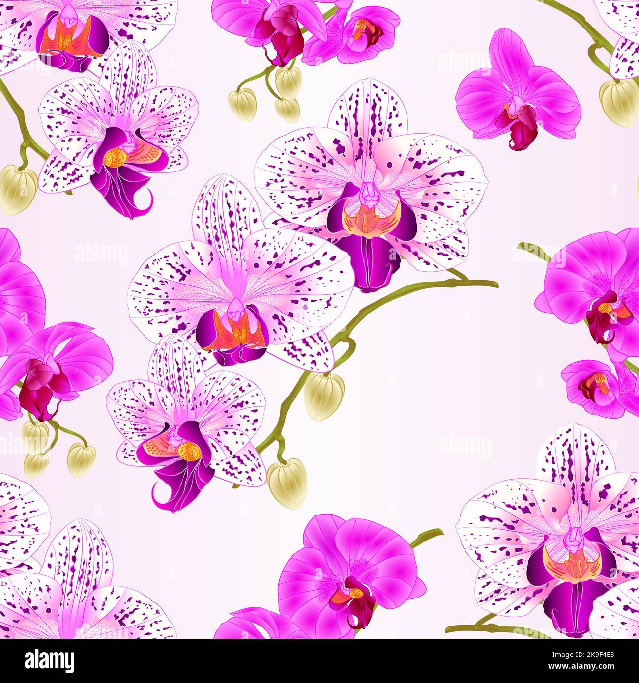 Seamless texture Orchids purple and purple white Phalaenopsis stems ...