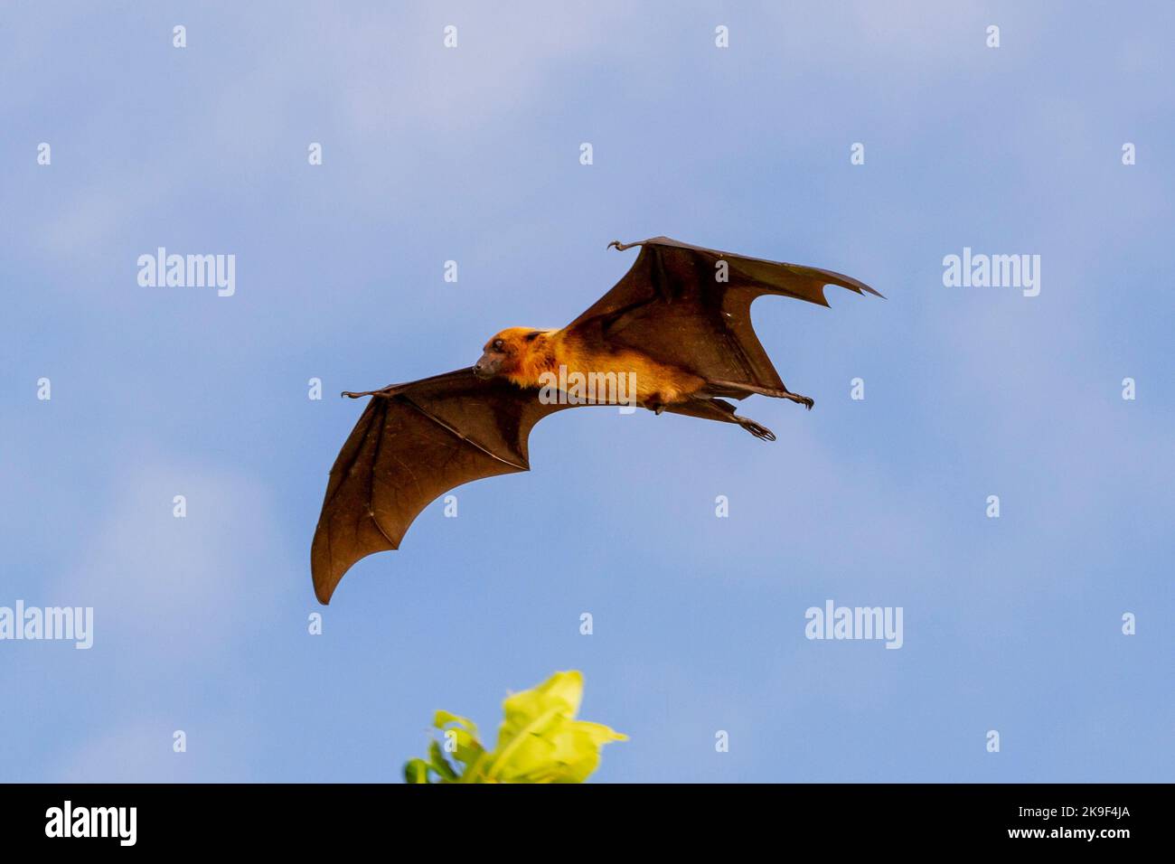 Maldives male hi-res stock photography and images - Alamy