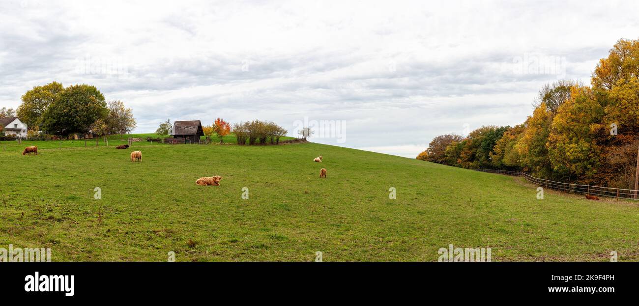 Panoramic photo of autumn field and village. German rural landscape ...