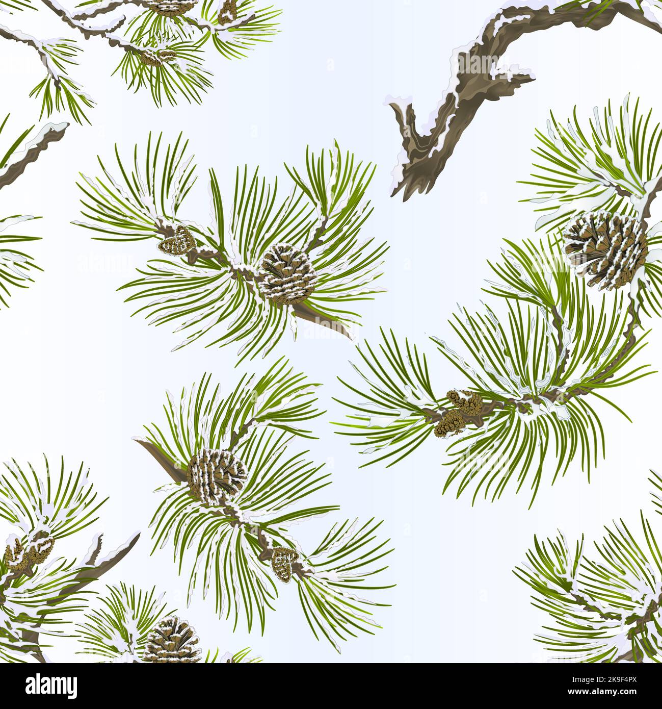Seamless texture pine various branches and cones needles and snow ...