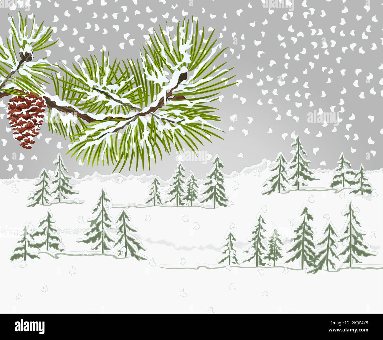 Winter landscape forest and pine branch and pine cone snowy natural ...