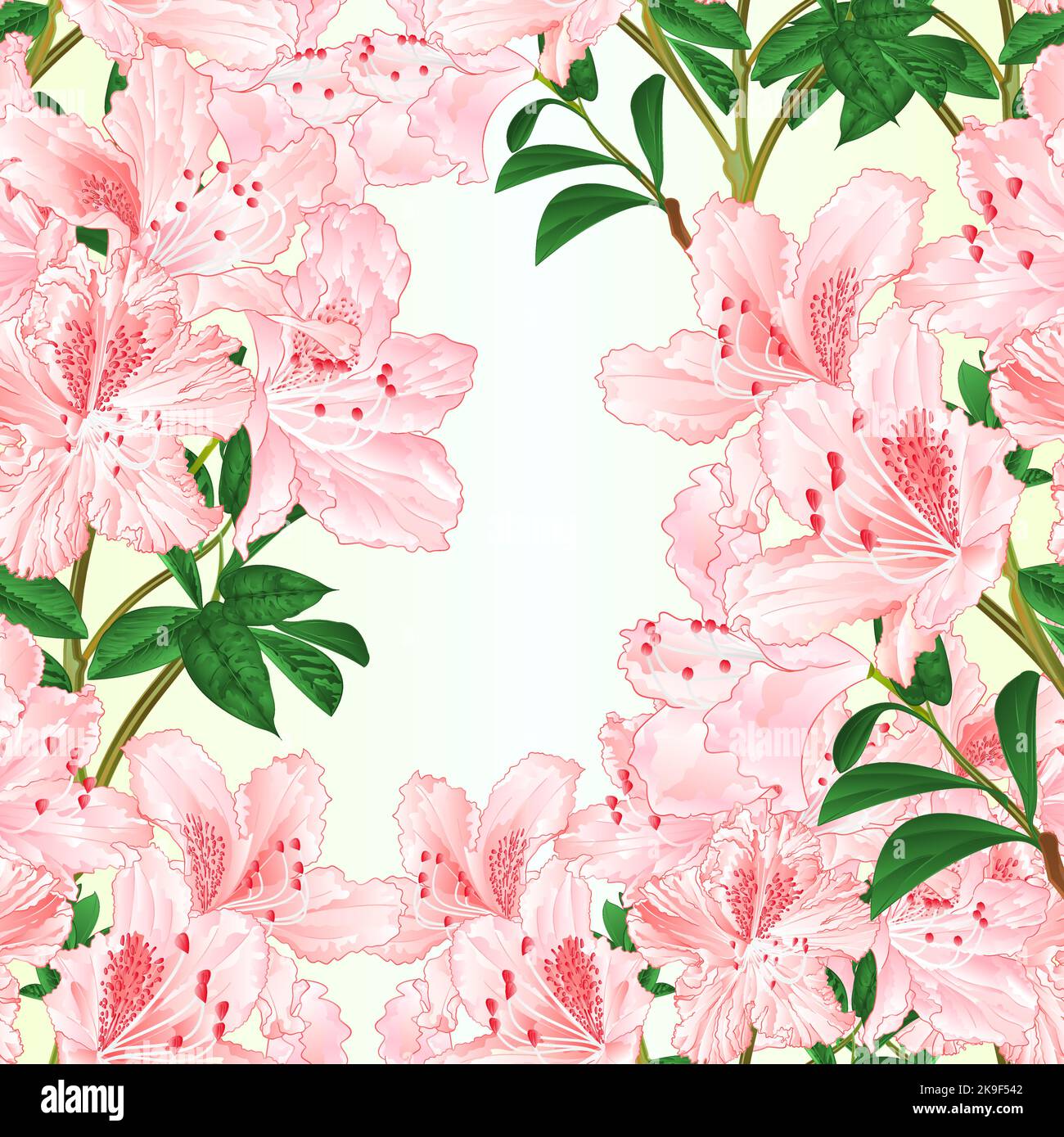 Seamless texture light pink rhododendron branch mountain shrub vintage ...
