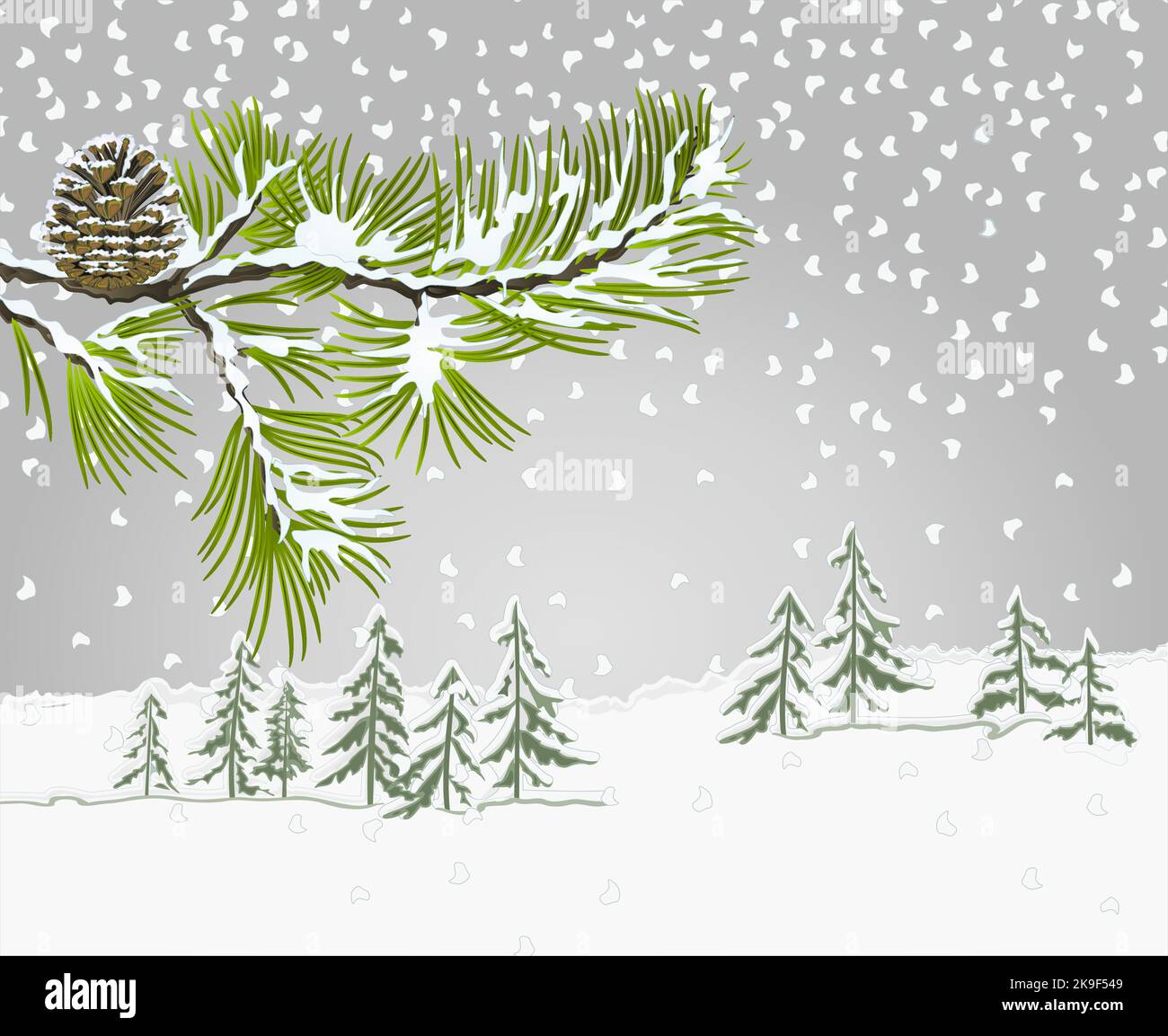 Winter landscape pine tree and pine cone branch winter snowy natural ...