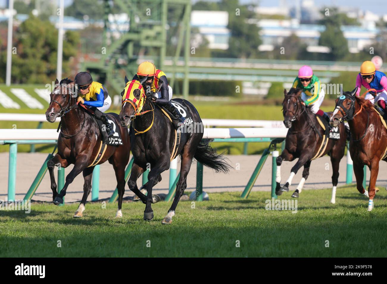 Hyogo, Japan. 23rd Oct, 2022. Phrase d'Armes Ryusei Sakai win the ...
