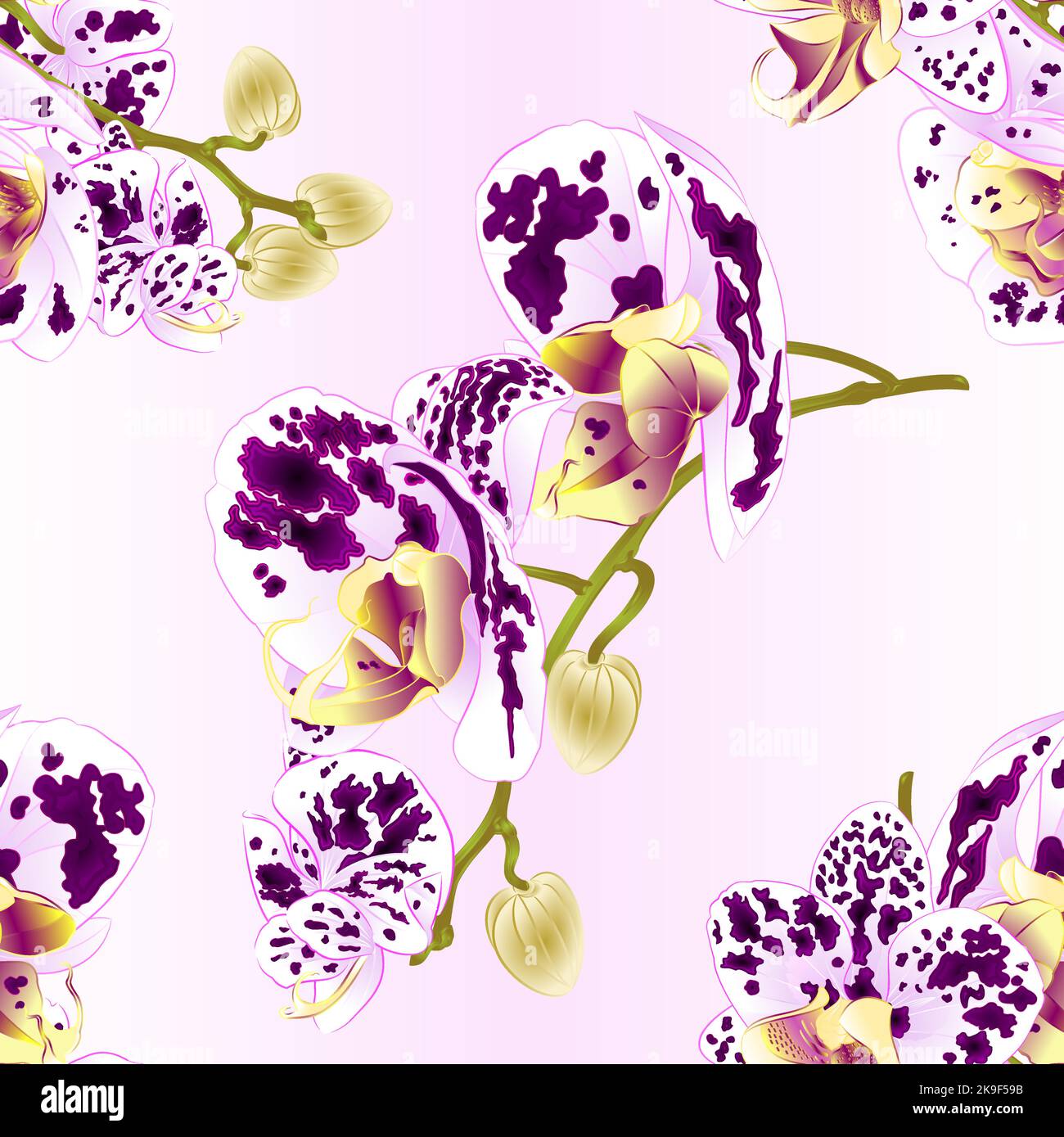 Seamless Texture Stems With Flowers And Buds Beautiful Orchid