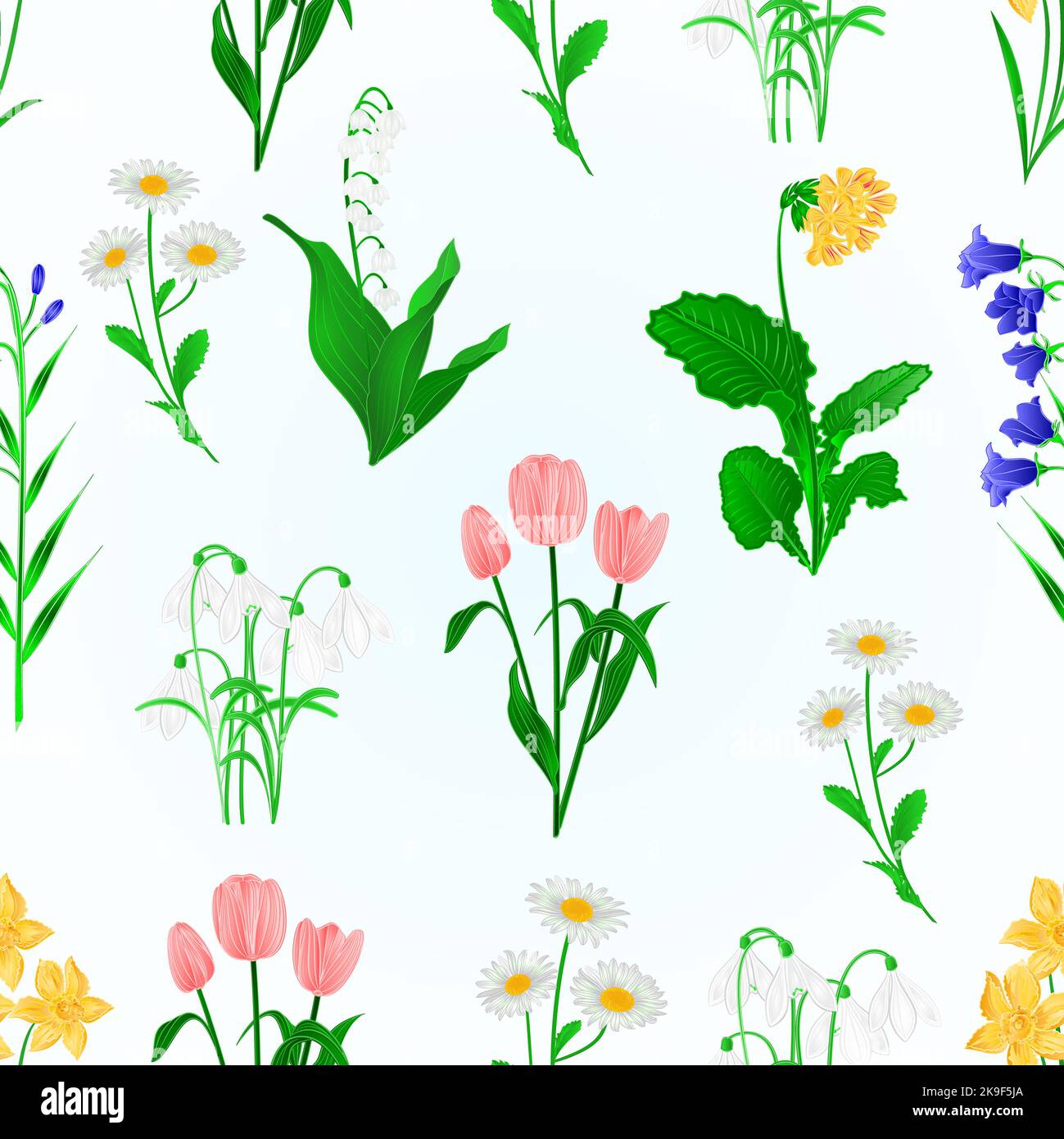 Primrose valley Stock Vector Images - Alamy