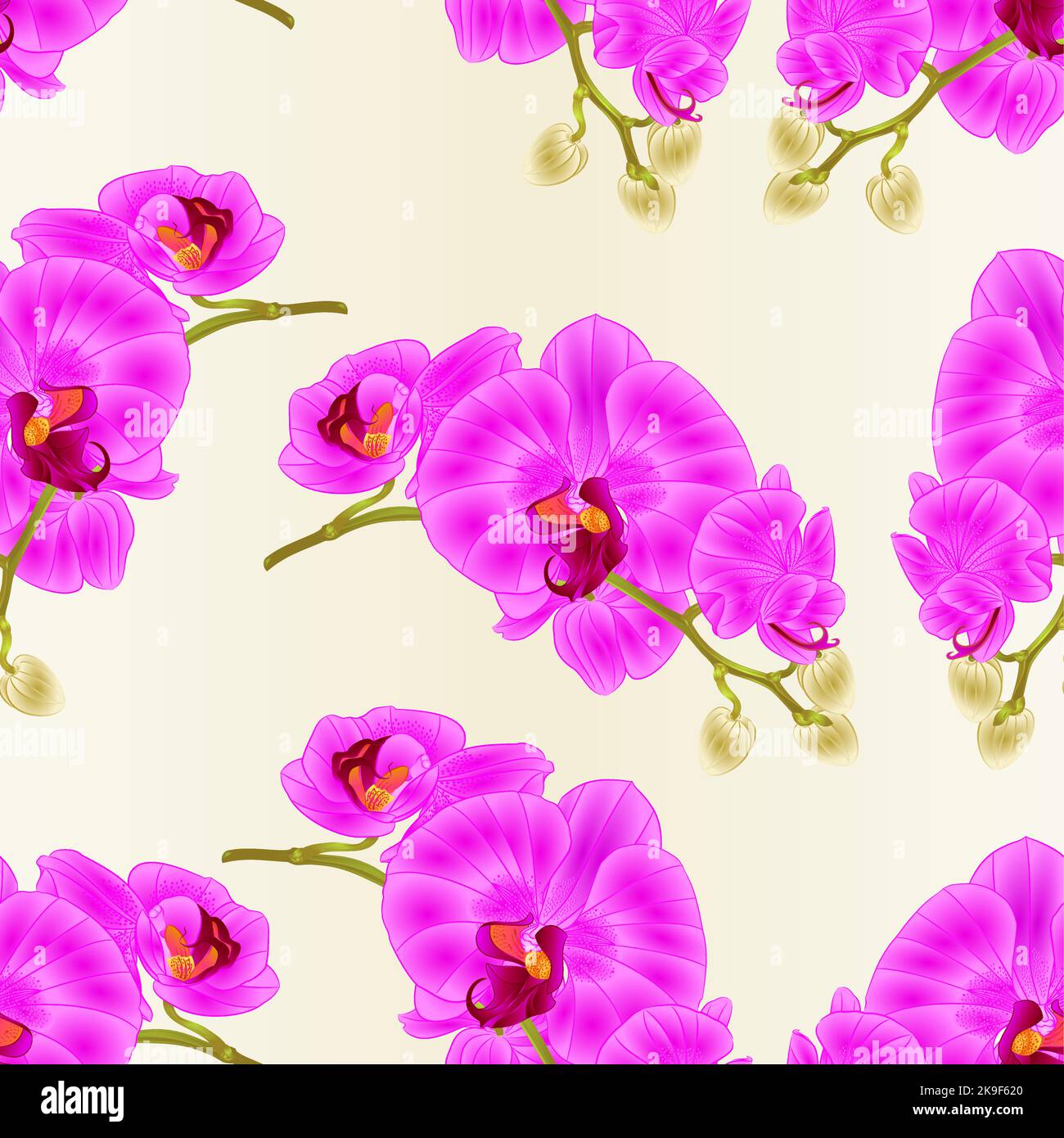 Seamless Texture Stem Orchids Flowers Purple Phalaenopsis Tropical