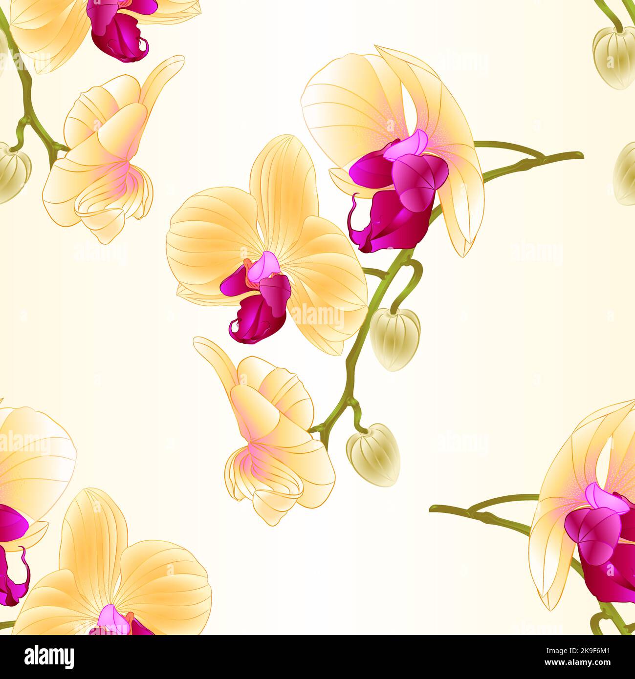 Seamless Texture Phalaenopsis Beautiful Yellow Orchid Stem With Flowers