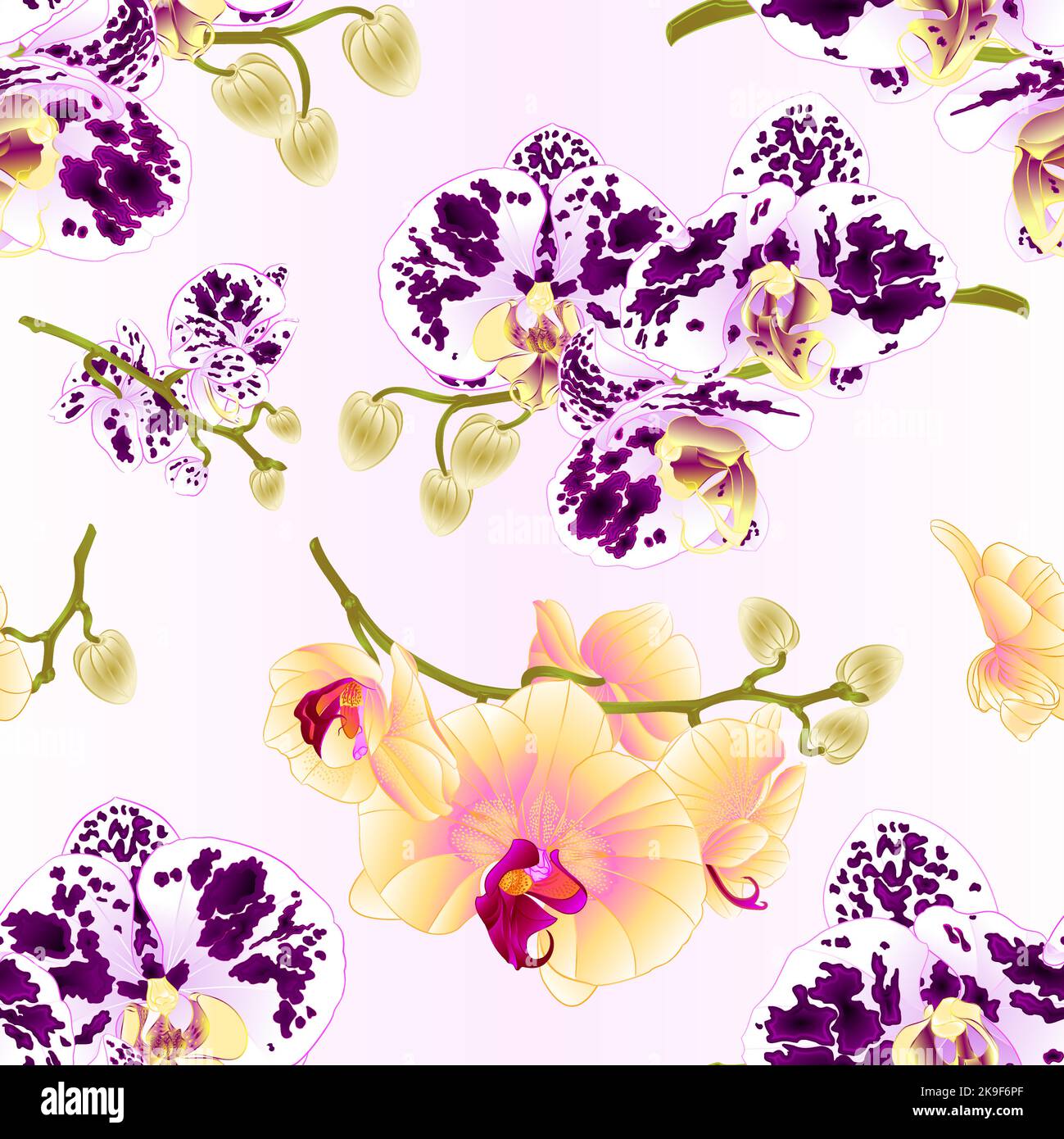 Seamless Texture Orchids Yellow And Spotted Phalaenopsis Stems With