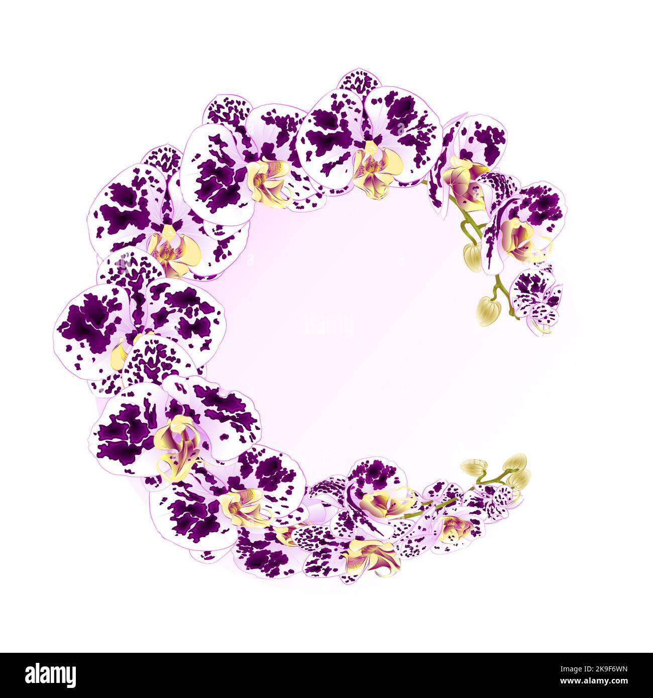 White purple spotted flowers Stock Vector Images - Alamy