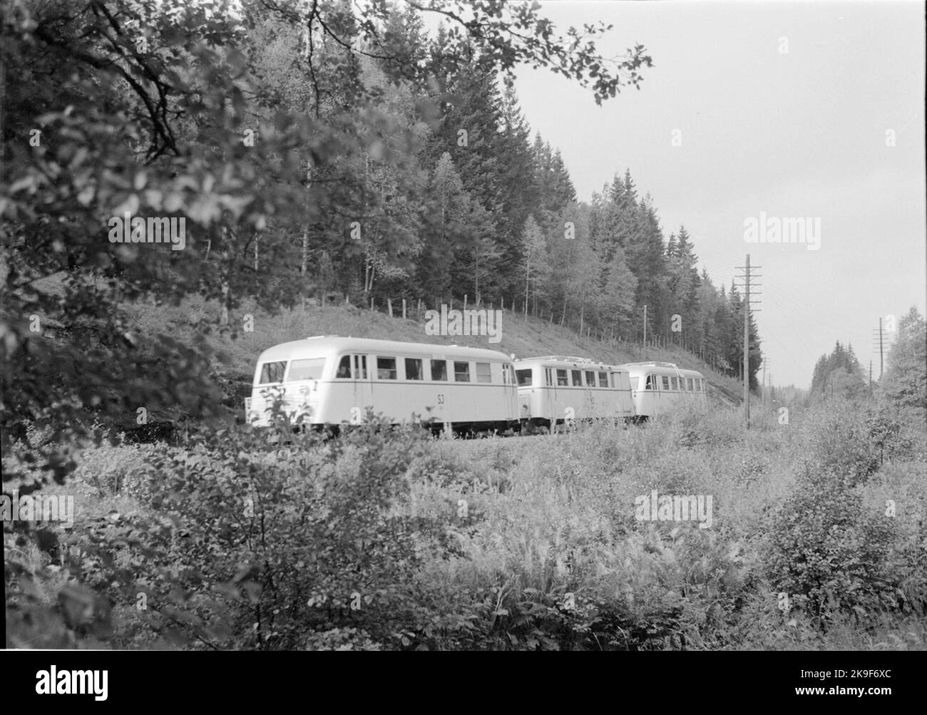 Rail bus train on the line Stock Photo - Alamy