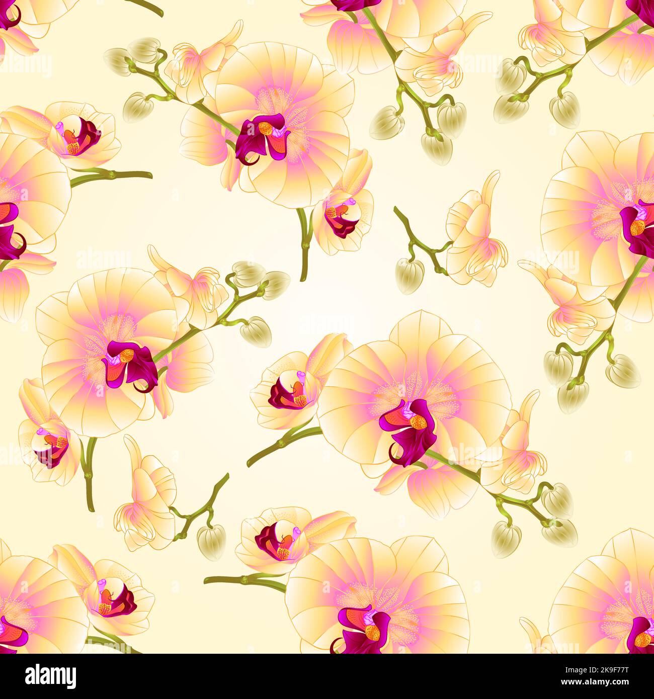 Seamless texture stem orchids flowers yellow Phalaenopsis tropical ...