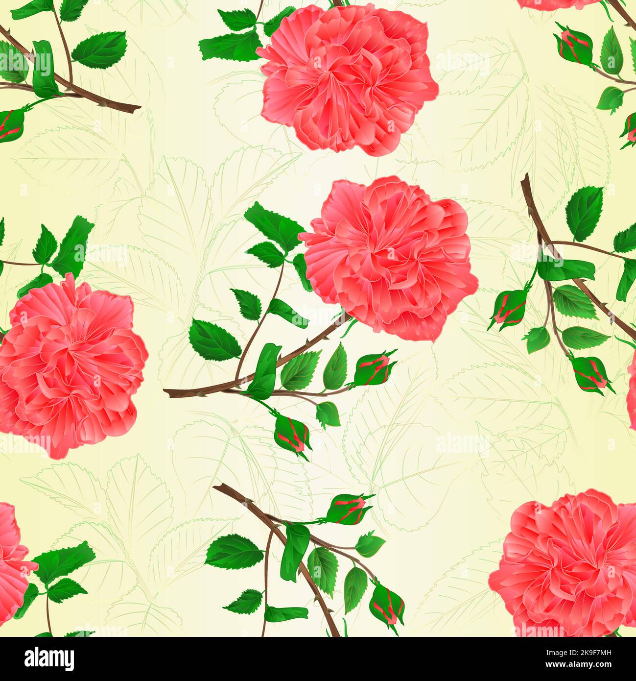 Seamless texture rose and buds pink twig with leaves on a white background vintage vector ...