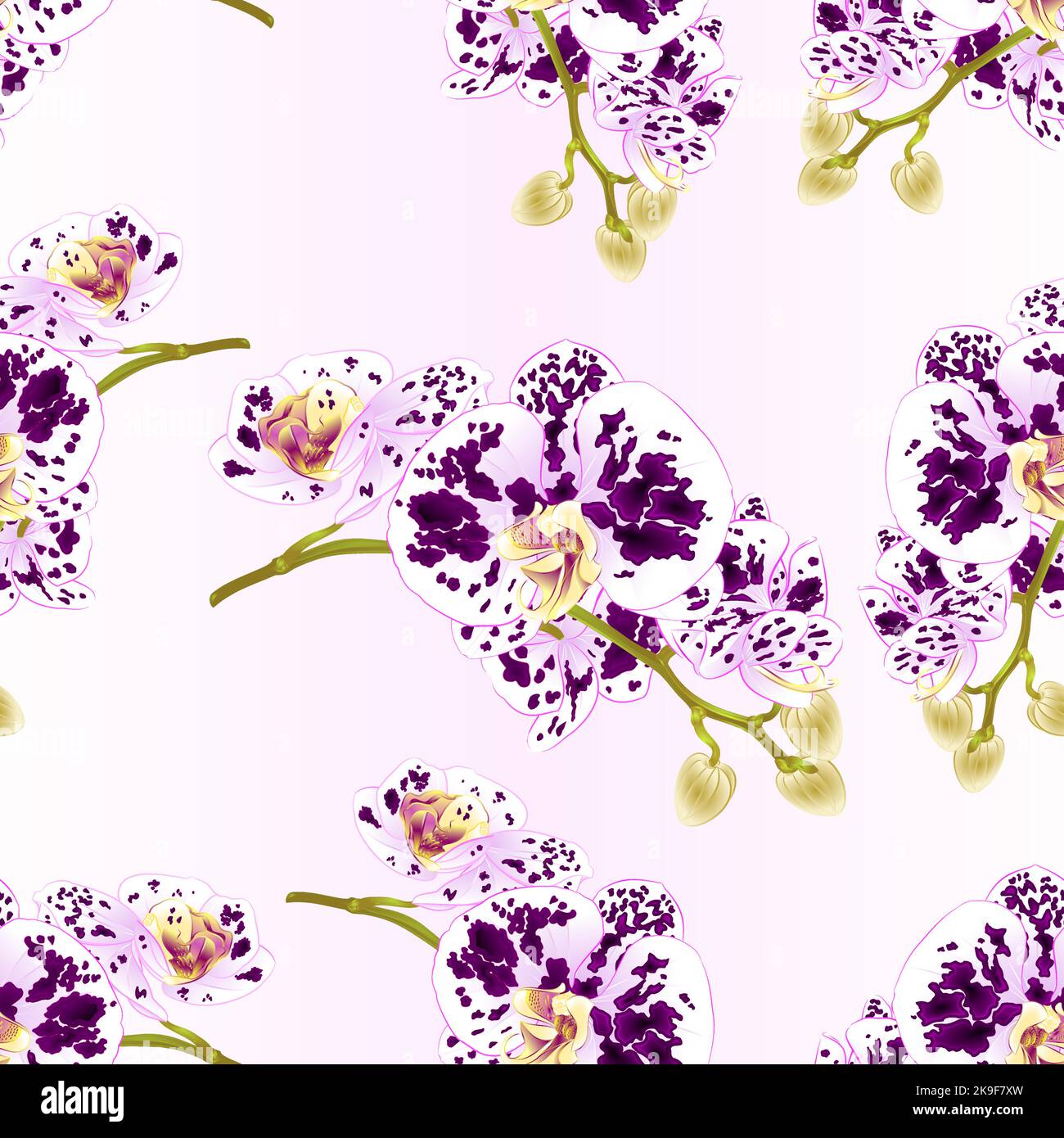 Seamless Texture Stem Orchids Flowers Spotted Purple And White