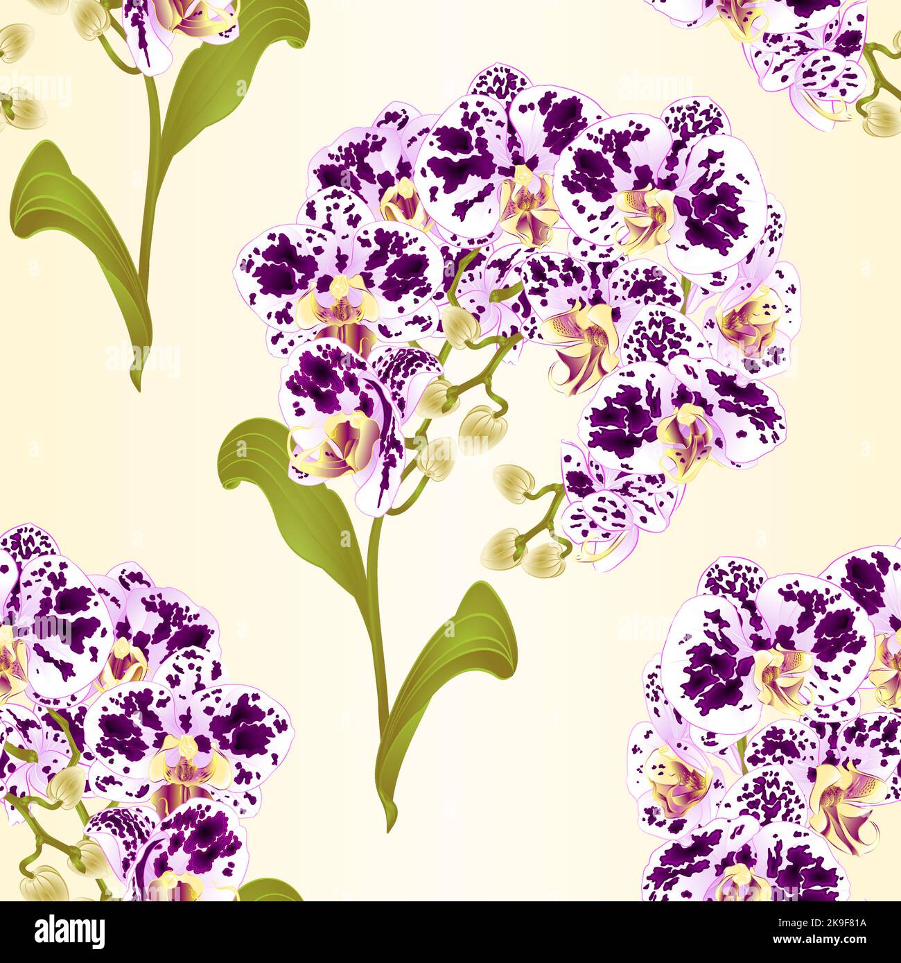 Seamless Texture Branches Orchid Phalaenopsis Spotted Purple And White