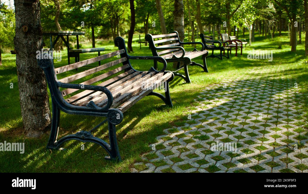 Bench, park bench, wooden bench, resting place Stock Photo - Alamy
