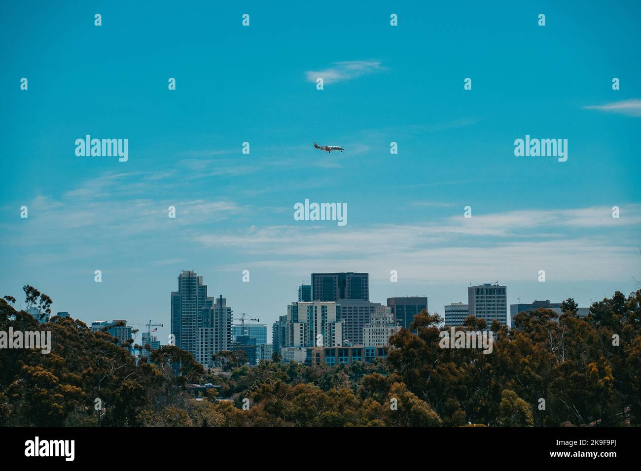 Plane flying over tall buildings in city and park in San Diego ...