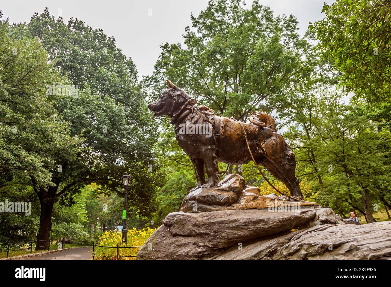 Serum run of 1925 hi-res stock photography and images - Alamy