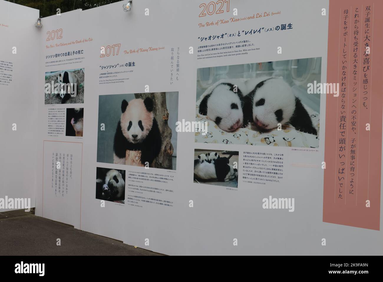Panel exhibition that tells the history of pandas in the park on October 28, 2022 at Ueno Zoo in ...
