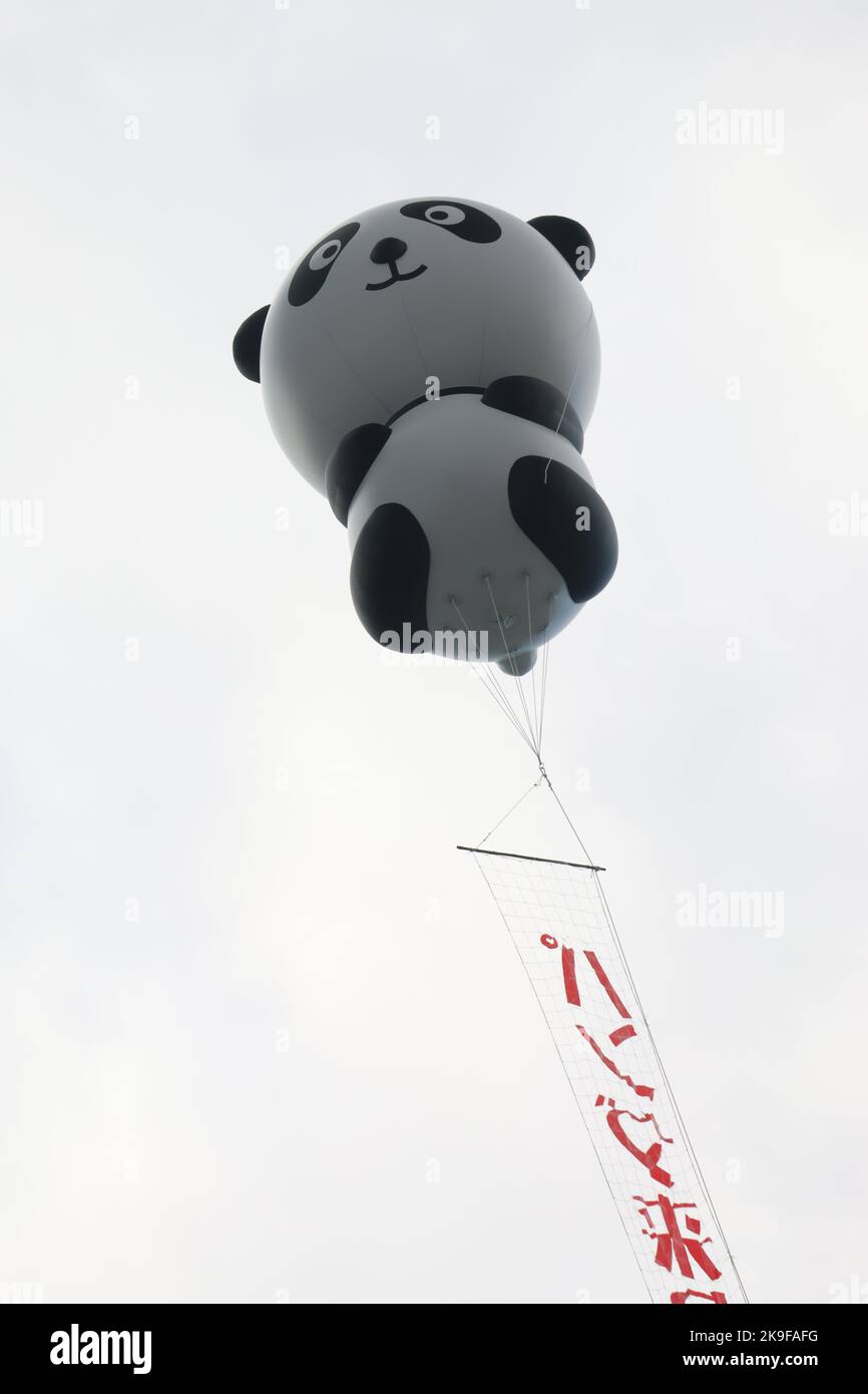A giant panda balloon is seen in Ueno, Taito city on October 28, 2022 ...
