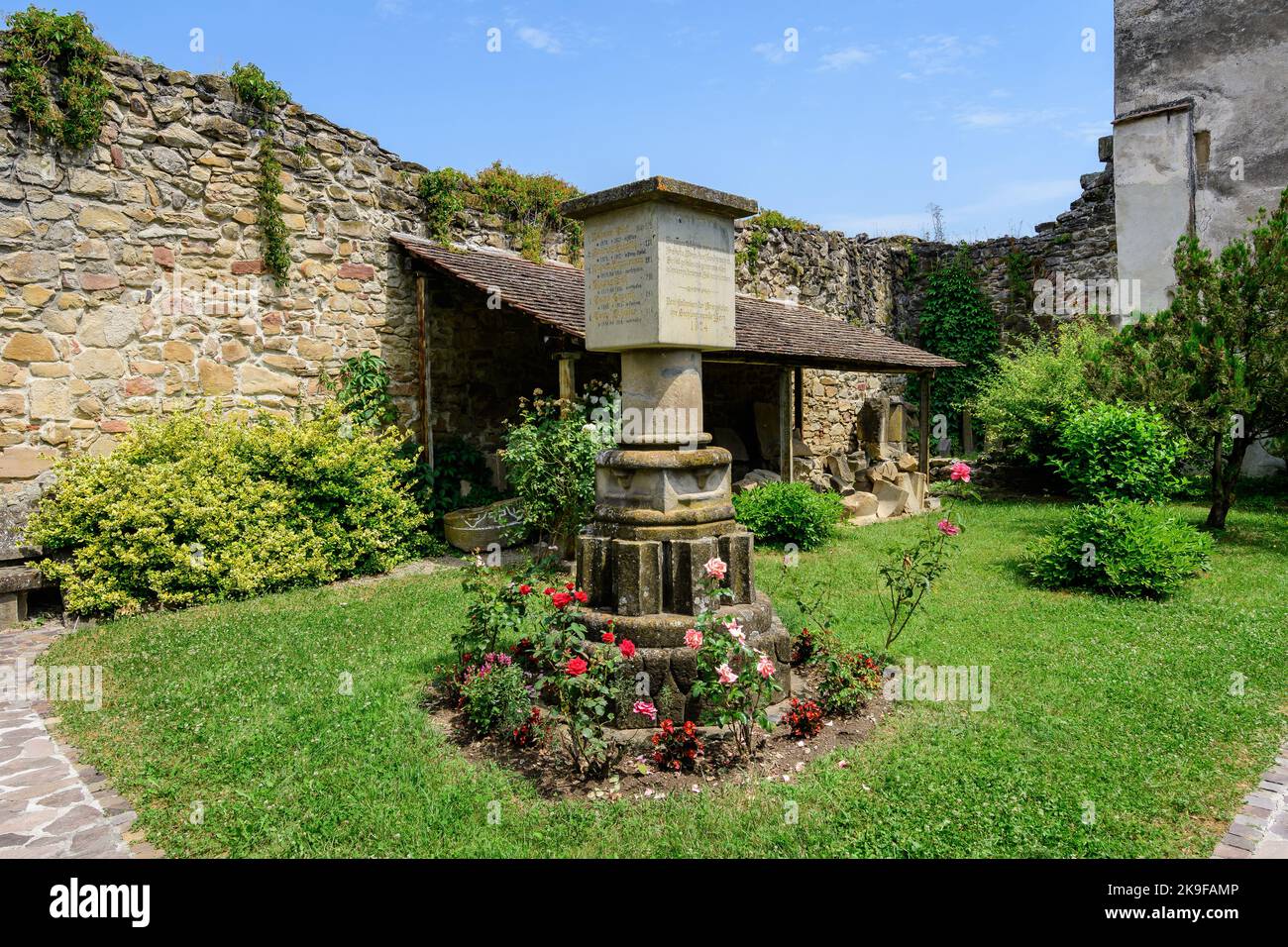 The ruins of the Carta Cistercian (Benedictine) monastery (Manastirea ...
