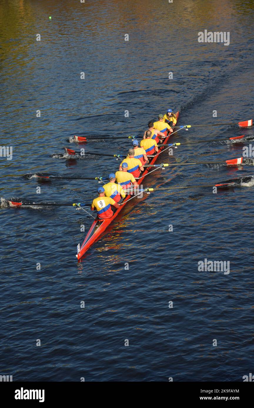 Team sculling hi-res stock photography and images - Alamy