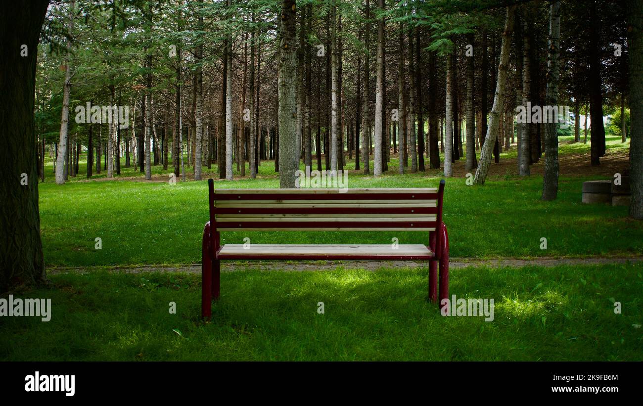 Bench, park bench, wooden bench, resting place Stock Photo - Alamy